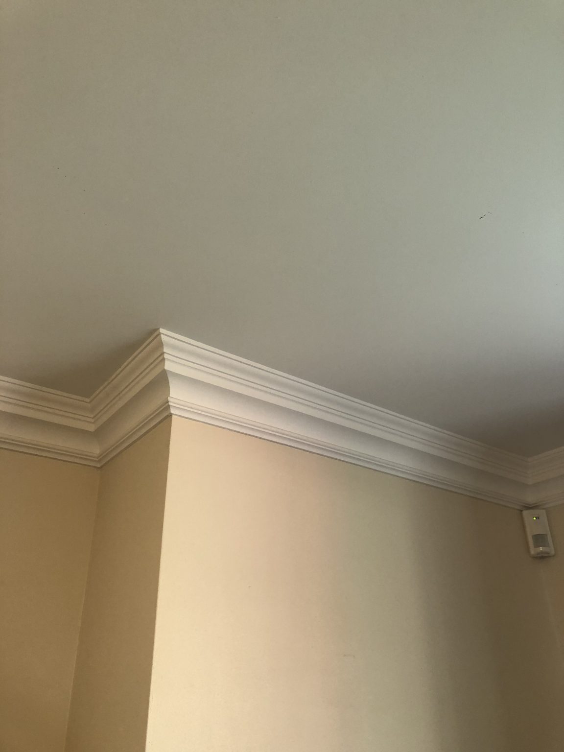 Bespoke Coving - The Wakefield coving specialists